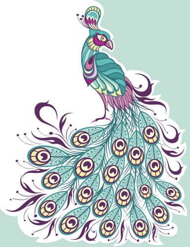 Beautiful peacock Royalty Free Vector Image - VectorStock