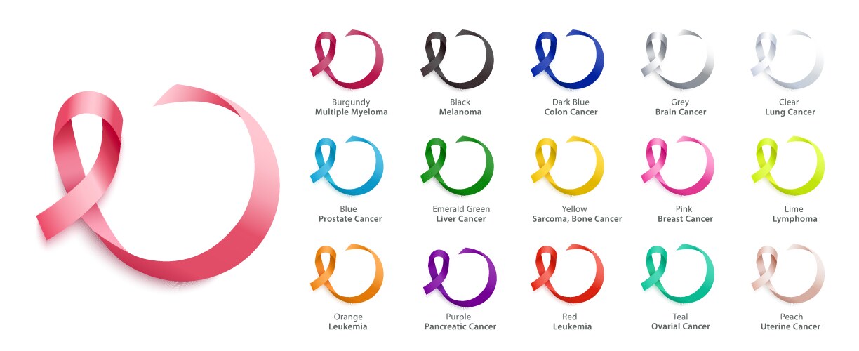 Banner with clear white curly ribbon or loop Vector Image