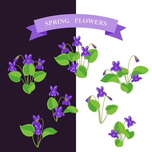 Violet Flower Vector Images (over 29,000)