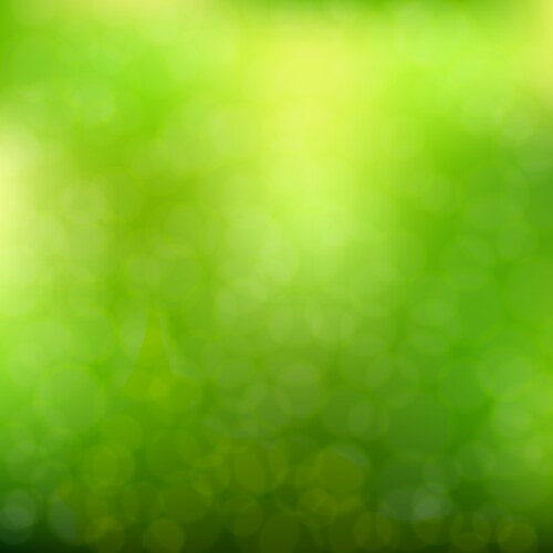 Nature bokeh background Royalty Free Vector Image
