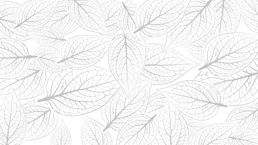 Leaf Skeleton Pattern Vector Images (over 1,300)