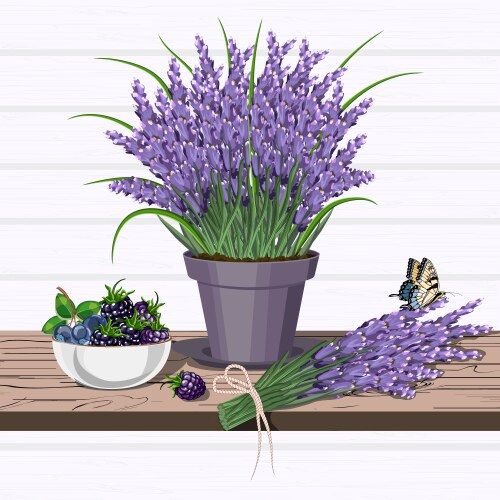Lavanda Vector Images (over 230)