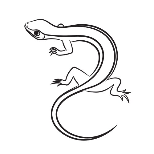 Lizard Outline Vector Images (over 5,300)