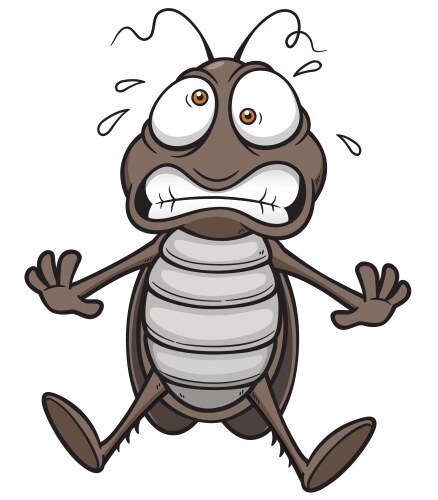 Cockroach Royalty Free Vector Image - VectorStock