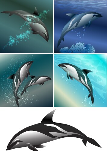 Vivid gradient set Royalty Free Vector Image - VectorStock