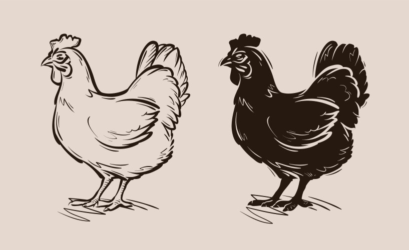 Chicken Logo Vector Images (over 33,000)
