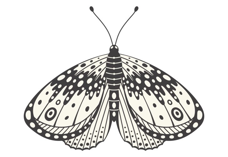 Butterfly and moth set y2k style aesthetic wing Vector Image