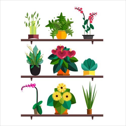 Watercolor aesthetic room decor and indoor Vector Image