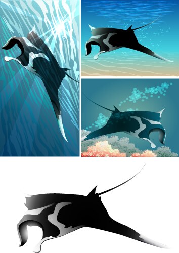 Manta ray over a reef Royalty Free Vector Image