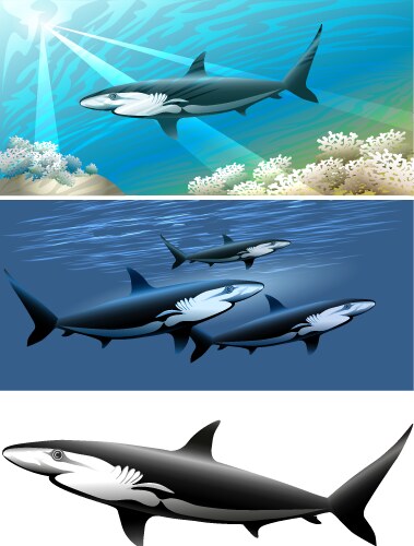 Shark Vector Images (over 31,000)