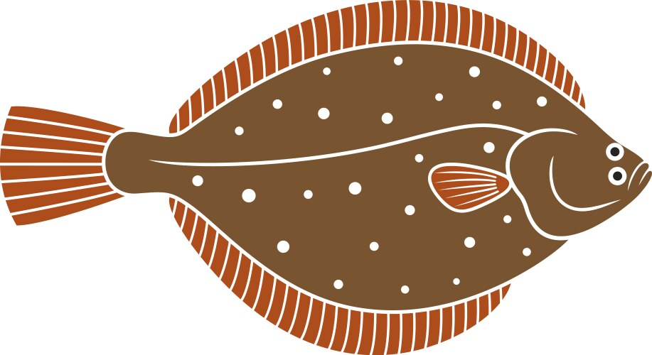 Flounder fish hand drawn black and white Vector Image