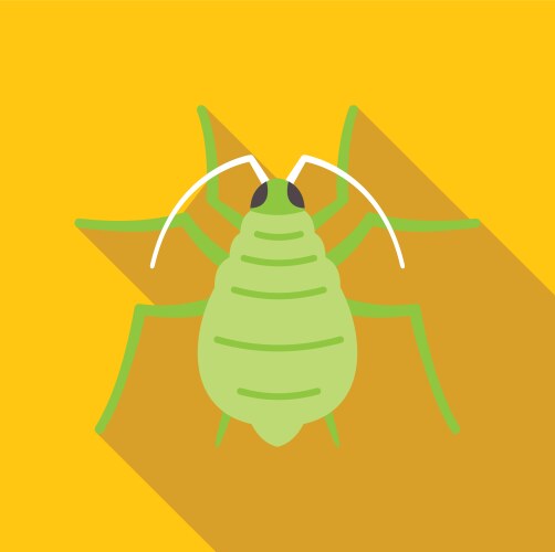 Green aphid insect pest with long antennae Vector Image