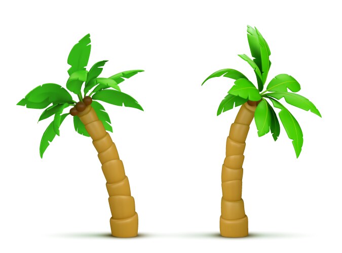 Coconut Tree Clipart, Download Free Transparent PNG Format Clipart ...