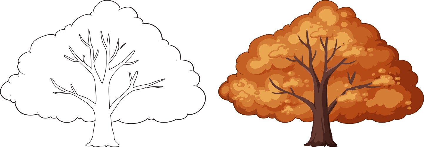 A tall ashoka tree Royalty Free Vector Image - VectorStock