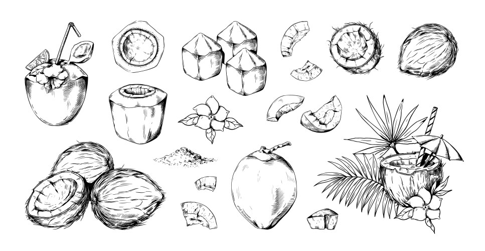 Hand drawn fruit Royalty Free Vector Image - VectorStock