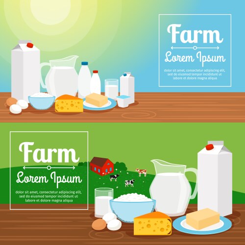 Milk dairy products infographic layout poster Vector Image