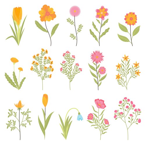 Spring flowers Royalty Free Vector Image - VectorStock