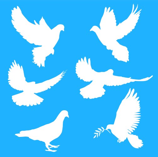 White dove Royalty Free Vector Image - VectorStock