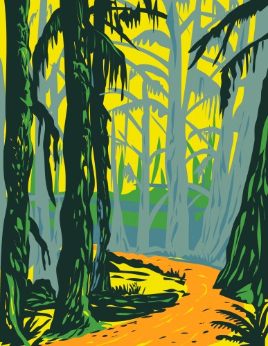 Rainforest Vector Images (over 28,000)