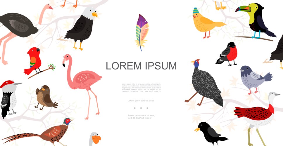 Flat beautiful birds template Royalty Free Vector Image