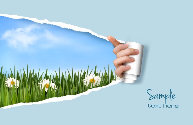 Grass and paper Royalty Free Vector Image - VectorStock