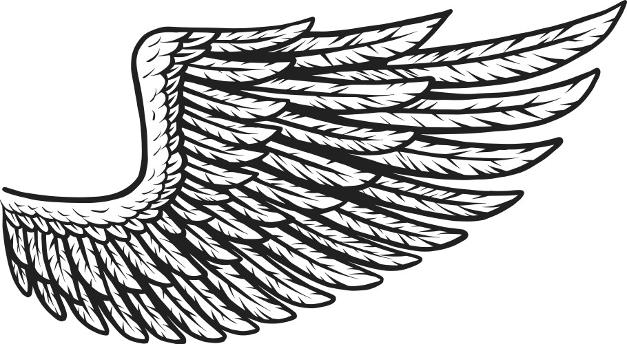 Wing Vector Images (over 480,000)