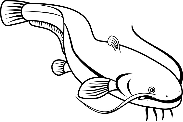 Catfish Outline Vector Images (over 1,100)