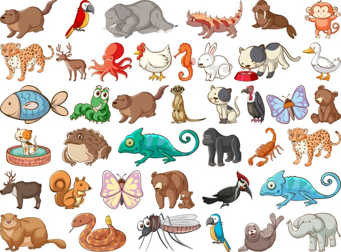 Cartoon animals collection set Royalty Free Vector Image
