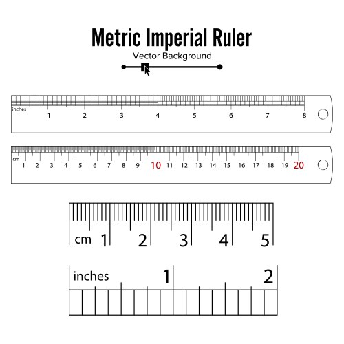 Measuring rulers school ruler metric scale Vector Image