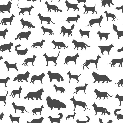 Cat breeds icon set flat style isolated on white Vector Image
