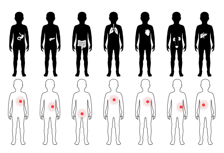 Pain in human body Royalty Free Vector Image - VectorStock