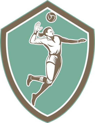 Volleyball player on attack Royalty Free Vector Image