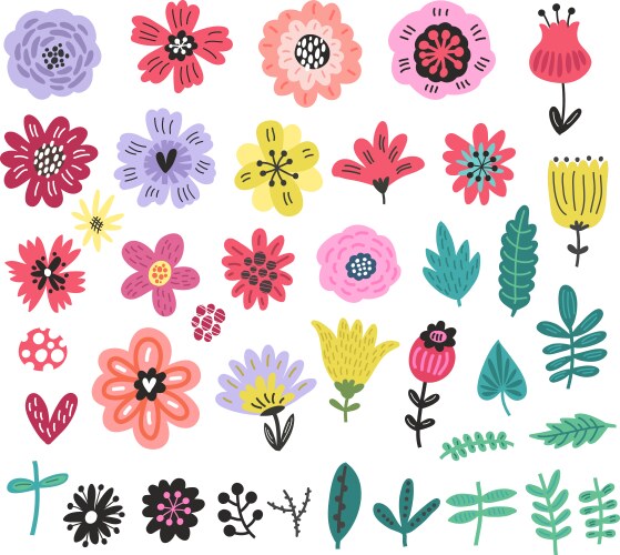 Colorful floral collection with leaves and flowers