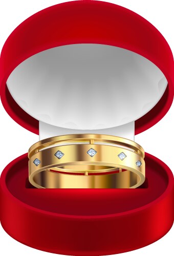 Object ring box Royalty Free Vector Image - VectorStock
