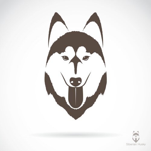 Dog head design siberian husky Royalty Free Vector Image