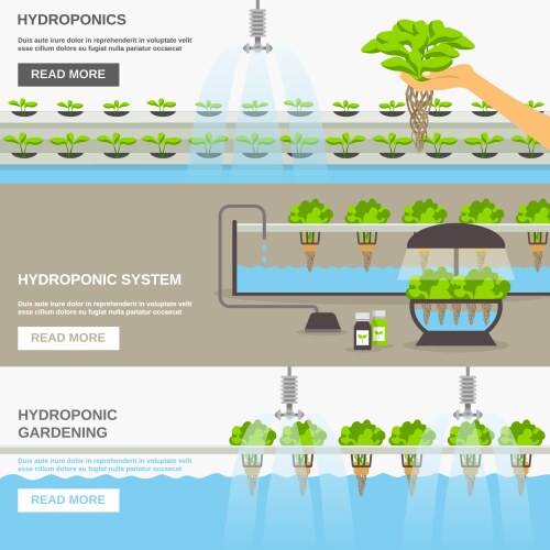 Hydroponic Vector Images (over 2,500)