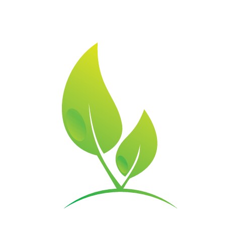 Bio plant leaf healing meditation yoga logo Vector Image