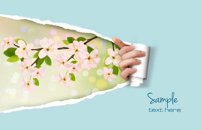 Red seam ripper on a white background Royalty Free Vector