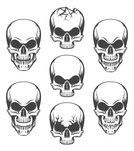 Skull Vector Images (over 220,000)