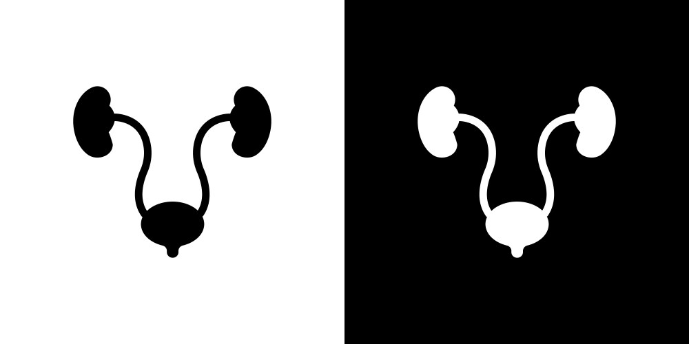 Urinary System Vector Images (over 4,300)