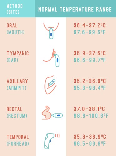 Normal temperature range Royalty Free Vector Image