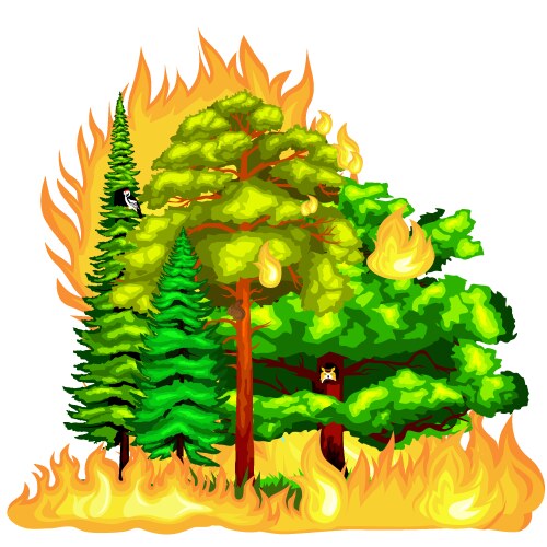 Forest fire cartoon Royalty Free Vector Image - VectorStock
