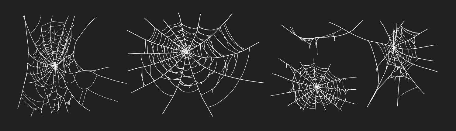 Spooky halloween old spider web with various sizes