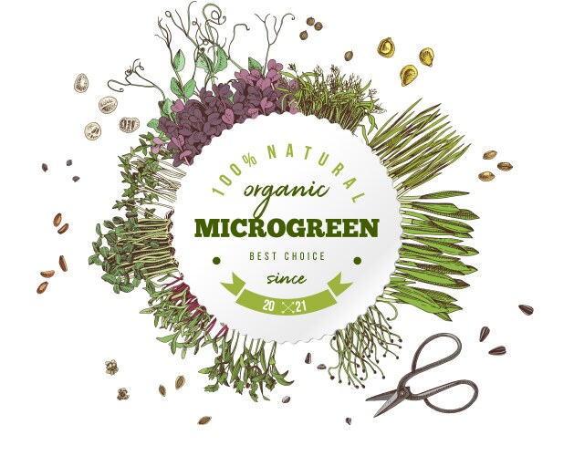 Microgreen Vector Images (over 1,500)