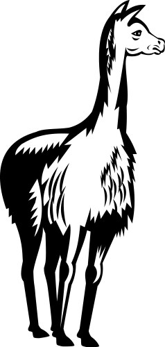 Vicuna cute cartoon animal Royalty Free Vector Image
