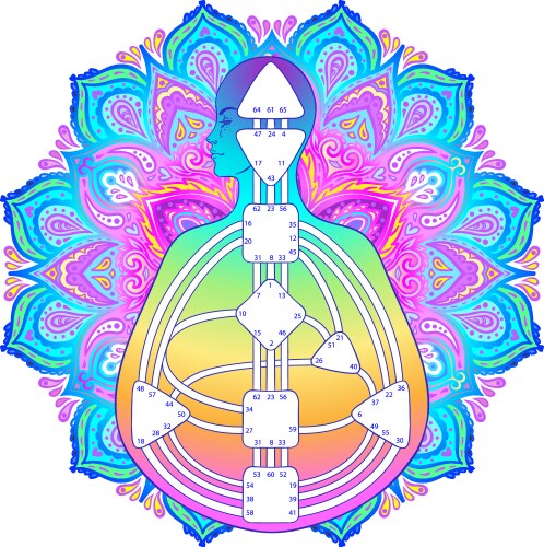 Human design bodygraph chart Royalty Free Vector Image