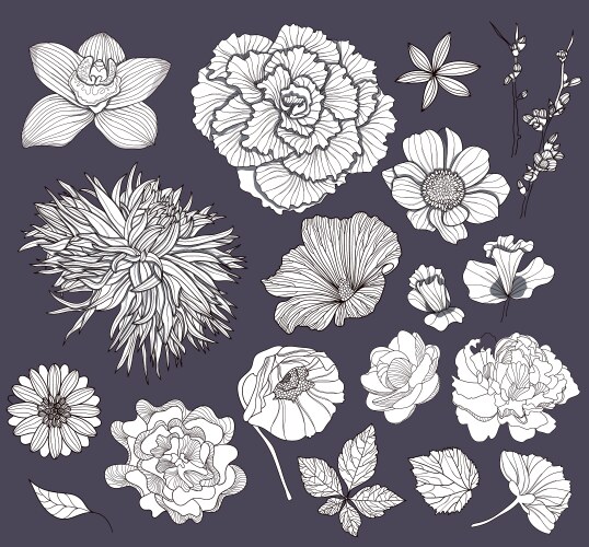 Floral Calligraphy Vector Images (over 74,000)