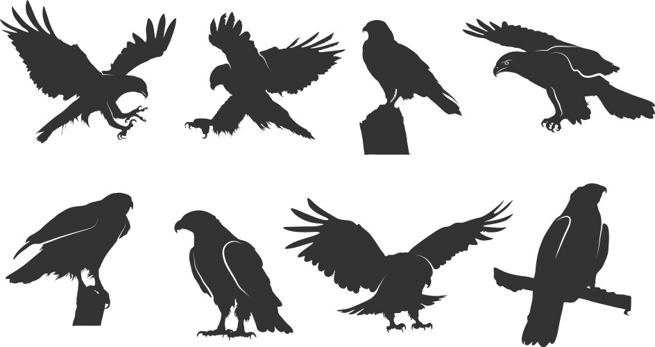 Hawk Flying Vector Images (over 27,000)