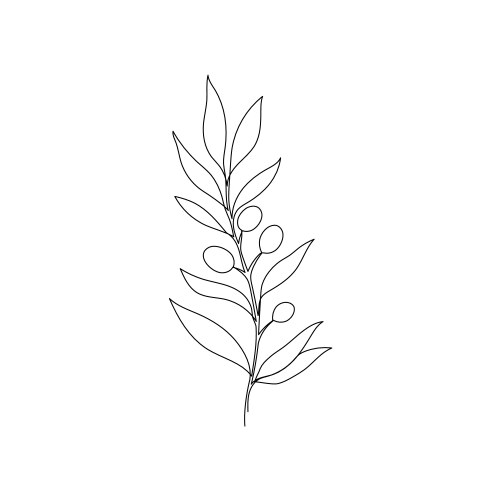 Leaf Line Art Vector Images (over 280,000)