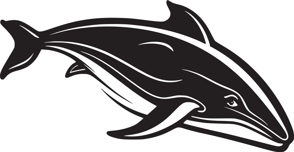 Whale spout Royalty Free Vector Image - VectorStock